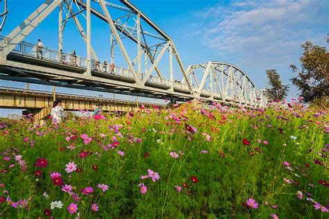 高雄景點 大樹舊鐵橋天空步道濕地公園滿花遍地的小吃市集
