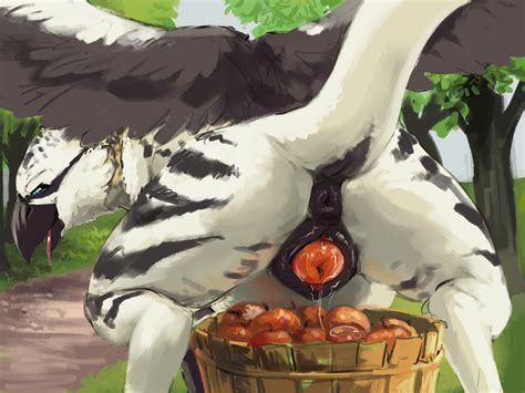 Rule 34 Anus Apple Avian Beak Female Feral Food Food Fetish Food