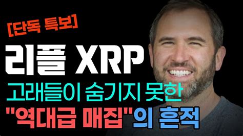100000 리플 Xrp 고래들이 숨기지 못한 역대급 매집의 흔적 비타 리플 리플분석 리플전망 리플목표가