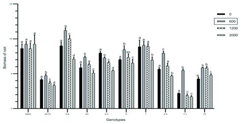 Effects Of Sb Concentration On The Biomass Of Roots Download Scientific Diagram