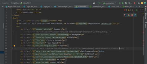 Java Sec Code Anz