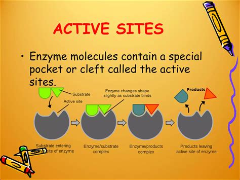 enzymes lecture 1 ppt chemistry science