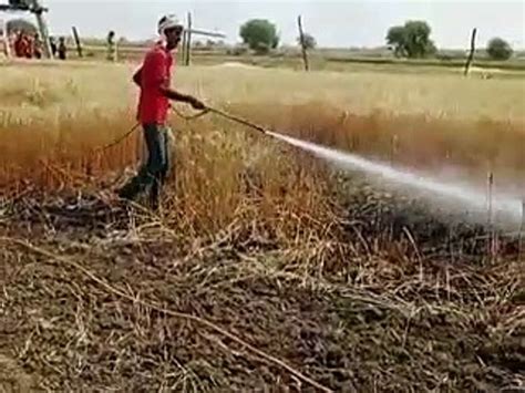 Video गेहूं की फसल में लगी आग लगी ग्रामीणों ने बुझाई Video Dailymotion