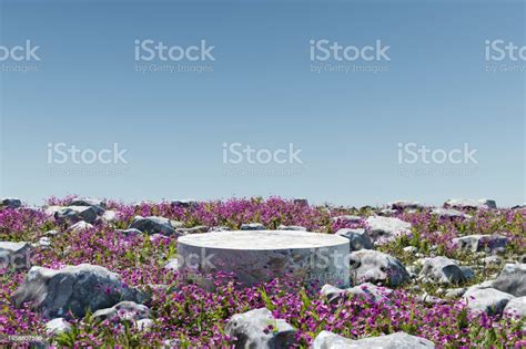Abstact 3d 렌더링 봄 장면과 자연 연단 배경 분홍색 꽃밭의 바위 연단 및 제품 디스플레이 광고 화장품 스킨케어 등을 위한 돌 바위 배경 맑은 하늘 꽃 식물에 대한