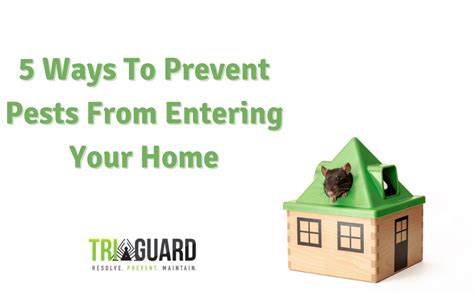 5 Ways To Prevent Pests From Entering Your Home TriGuard Pest Control