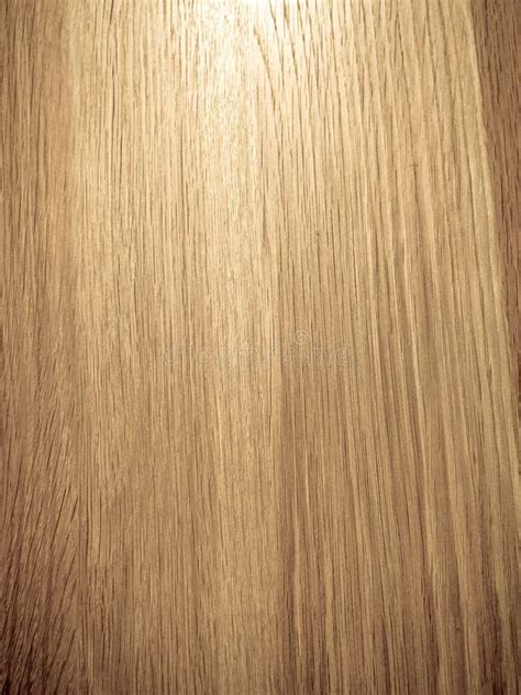 Wood Light Oak Texture Stock Image Image Of Surface 270387271