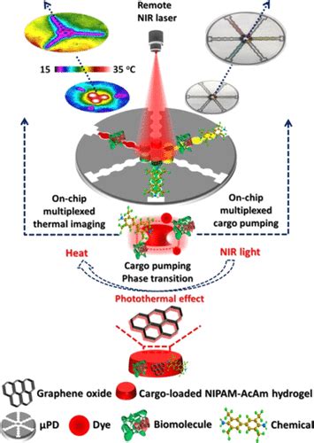 Spatiotemporally Controlled Multiplexed Photothermal Microfluidic