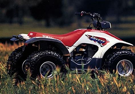 Yamaha Breeze 125 Automatic Wont Go Forward Atv