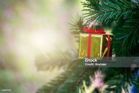 크리스마스 트리의 가지에 매달려 포장 된 선물 상자의 닫습니다 0명에 대한 스톡 사진 및 기타 이미지 0명 개념 개성 개념 Istock