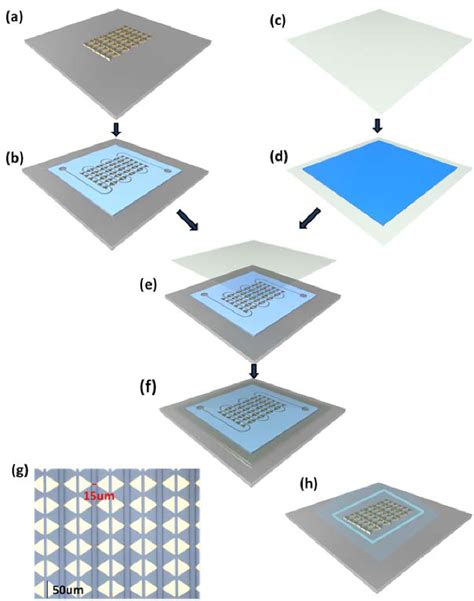 Figure 1 From Terahertz Microfluidic Metamaterial Biosensor For Sensitive Detection Of Small