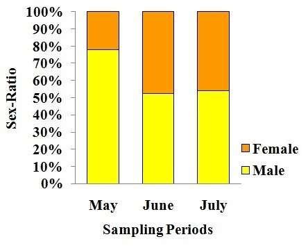 Sex Ratio Related To The Sampling Periods Of Longhorn Cowfish Lactoria Download High