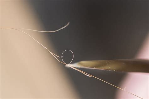 How To Sharpen A Knife While Minimizing Mistakes And Maximizing Cutting Edge Performance