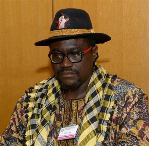 Why Were Against Any Form Of Privatisation Baba Aye Environews