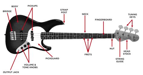 Fender Precision Bass Knobs Explained At Nicholas Mckillop Blog