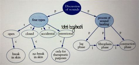 Semantik Karteikarten Quizlet
