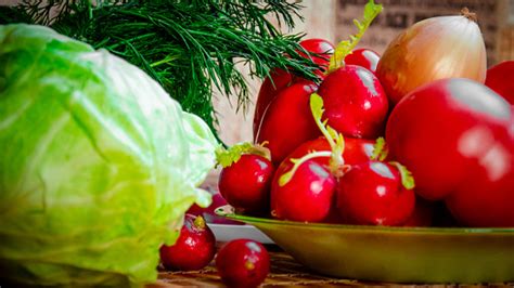 야채 잘 익은 빨간 토마토 달콤한 고추 딜 양파 무 오렌지 당근 오이 흰 양배추 클로즈업 0명에 대한 스톡 사진 및 기타 이미지 0명 가을 개체 그룹 Istock