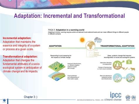 Chapter 4 Adaptation Incremental Or Transformational