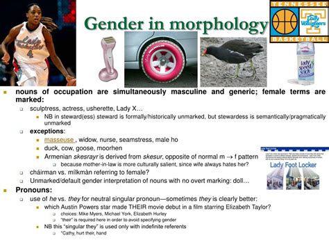 Ppt Li2 Language Variation Powerpoint Presentation Free Download