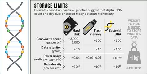 我如何看待用1公斤dna存储全球信息这个事情