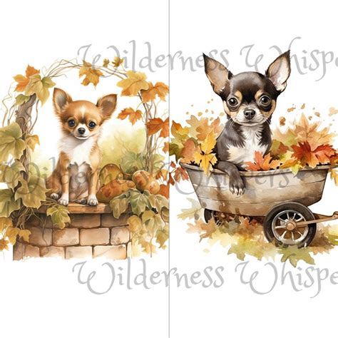 Chihuahuas In A Fall Garden 12  Watercolor Clipart Instant Download