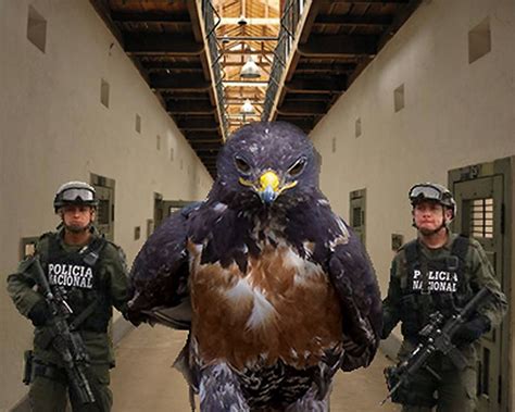 This Badass Hawk Just Sparked The Most Intense Photoshop Battle Ever