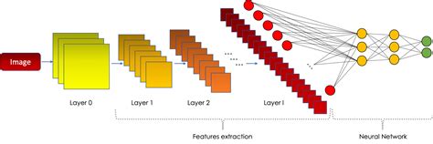 Cnn Neural Network Convolutional Neural Networks Approach For Multimodal Biometric