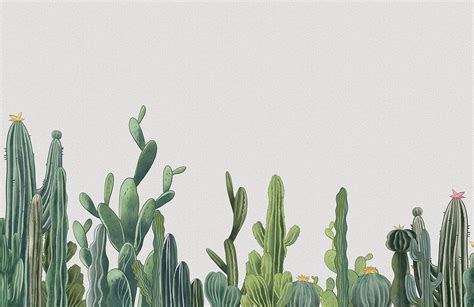 Green Cactus Wallpaper Mural Botanical Wallpaper Uk Plant Wallpaper