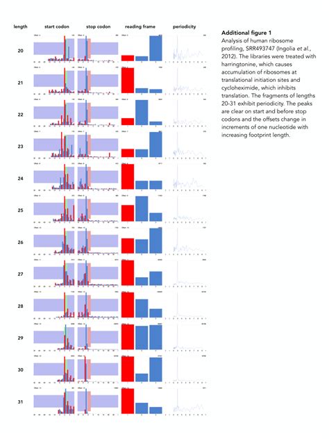 Pdf Shoelaces An Interactive Tool For Ribosome Profiling Processing And Visualization