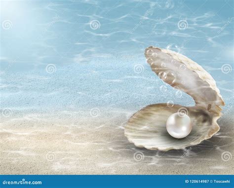 Pearl Oyster Shell
