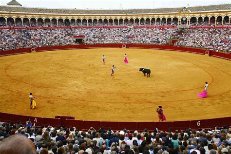 Bullfighting Arena