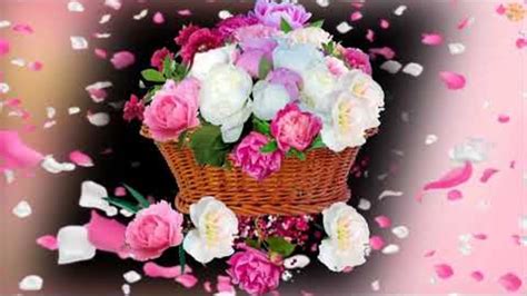 Зажигательная песня и красивейшее поздравление с Днем рождения