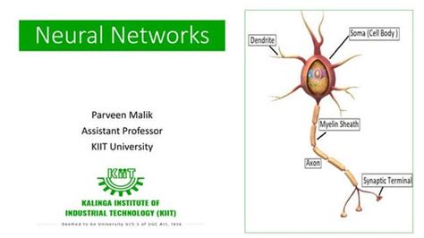 Artificial Neural Networks Ann Pdf Physics Science