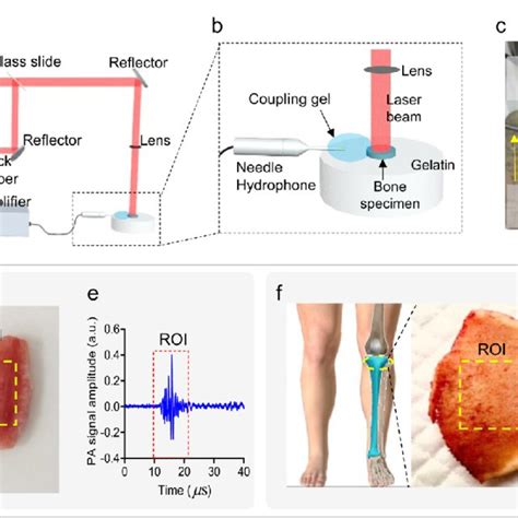 Experimental Setup A And B Schematics Of The Experiment C Download Scientific Diagram