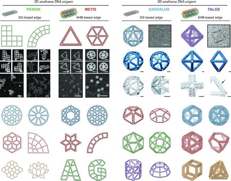 2d 3d Dna Nanostructures