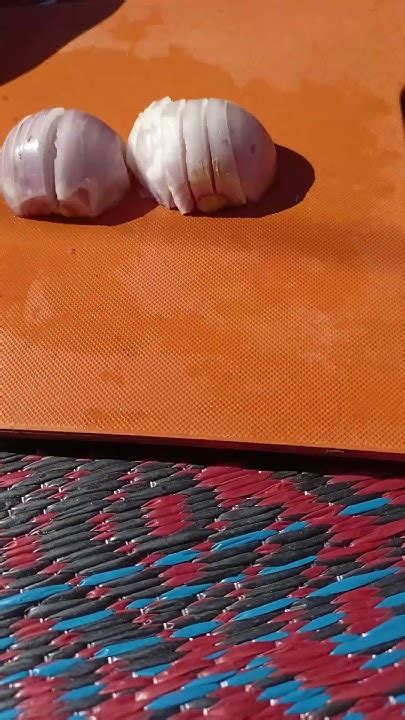 Lets Make Pastaaaaaa Pasta Recipe Youtube