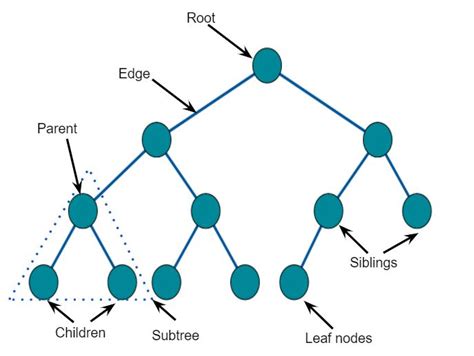 types of trees bartleby