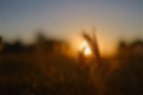 Peninsula Vision Optometry