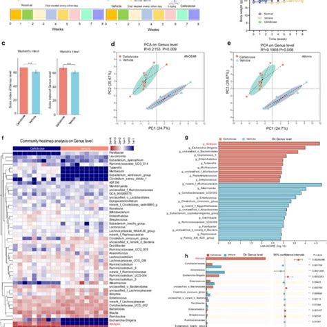 Function Of Cellobiose On The Composition Of Gut Microbiota Was