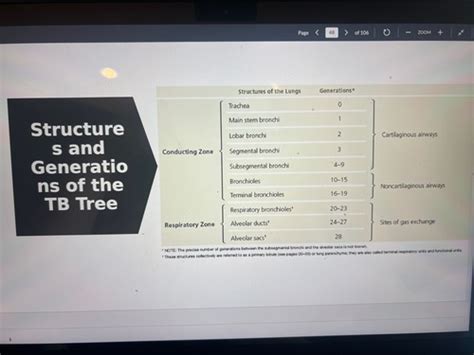 Final Exam Slides Flashcards Quizlet