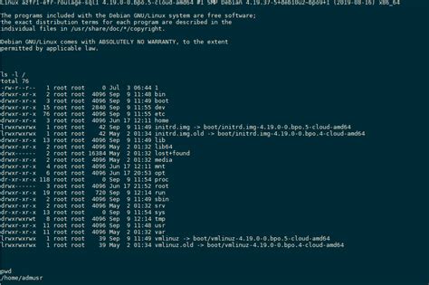 Linux Bash Going Crazy On Debian Super User