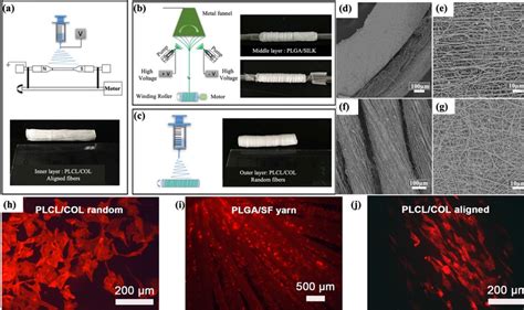Schematic Of A Fabrication Of Poly L Lactide Co ε Caprolactone Download Scientific Diagram