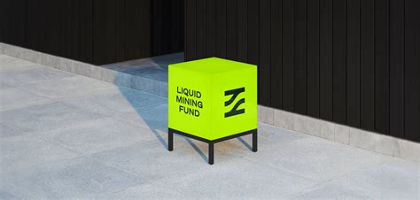 Branding Content Development And Website Design LMX Case Study