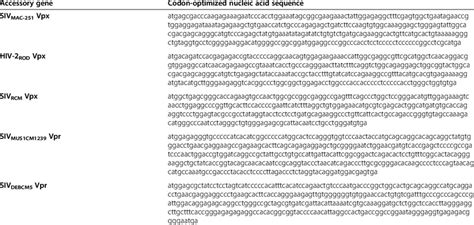 Codon Optimized Vpx And Vpr Sequences Download Table