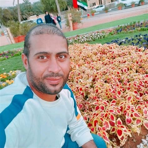 Amr Mahmoud Landscape Engineer All Companies Linkedin