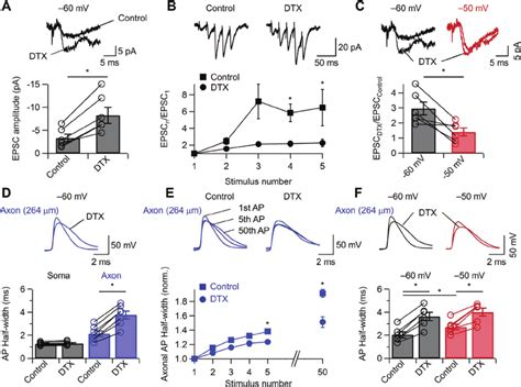Modulation Of Synaptic Transmission At Ca1 Pyramidal Neuron O Lm Download Scientific Diagram