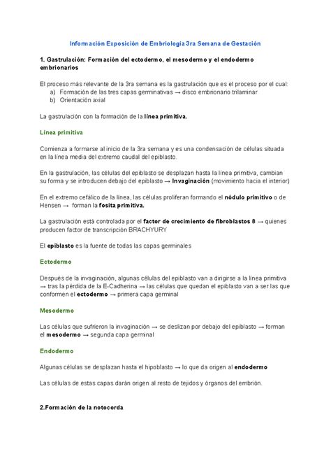 Gastrulación Formación Del Ectodermo El Mesodermo Y El Endodermo