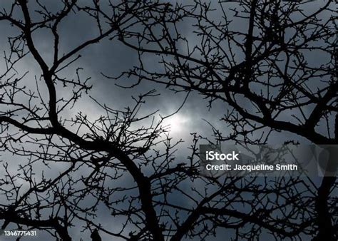 Awan Gelap Foto Stok Unduh Gambar Sekarang Alam Awan Langit Badai Cuaca Istock