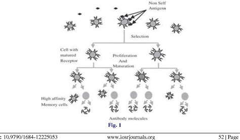 Figure 1 From A Review On Non Traditional Optimization Algorithm For Simultaneous Scheduling