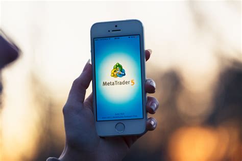 A Guide To Combining Technical Indicators In Forex Trading For Best Results Fp Markets