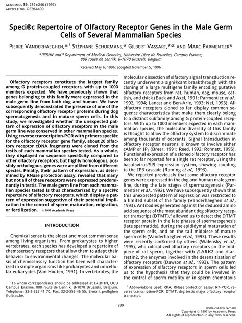 Pdf Specific Repertoire Of Olfactory Receptor Genes In The Male Germ